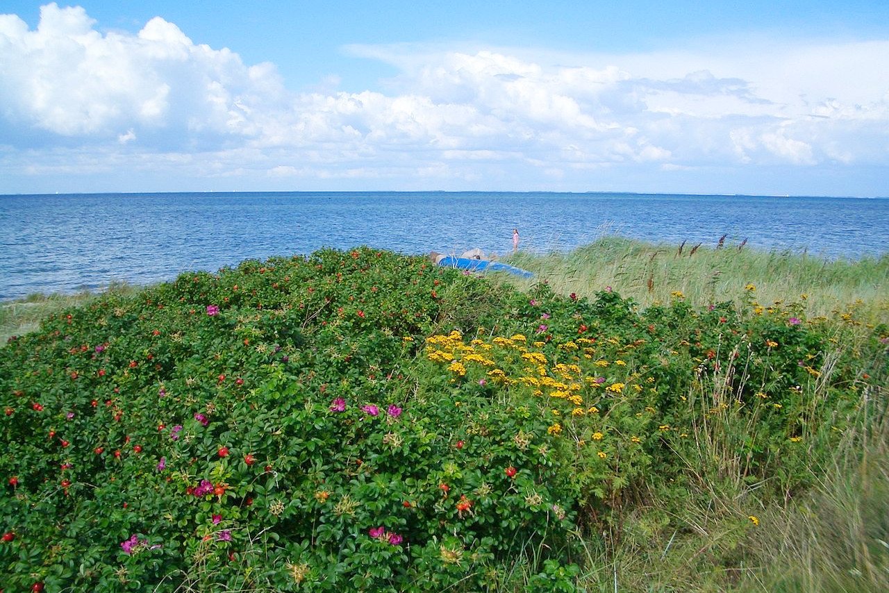 Blue Green Atlas - The Geography of Denmark